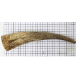 Pointe de corne de Zébu - Muzard SARL