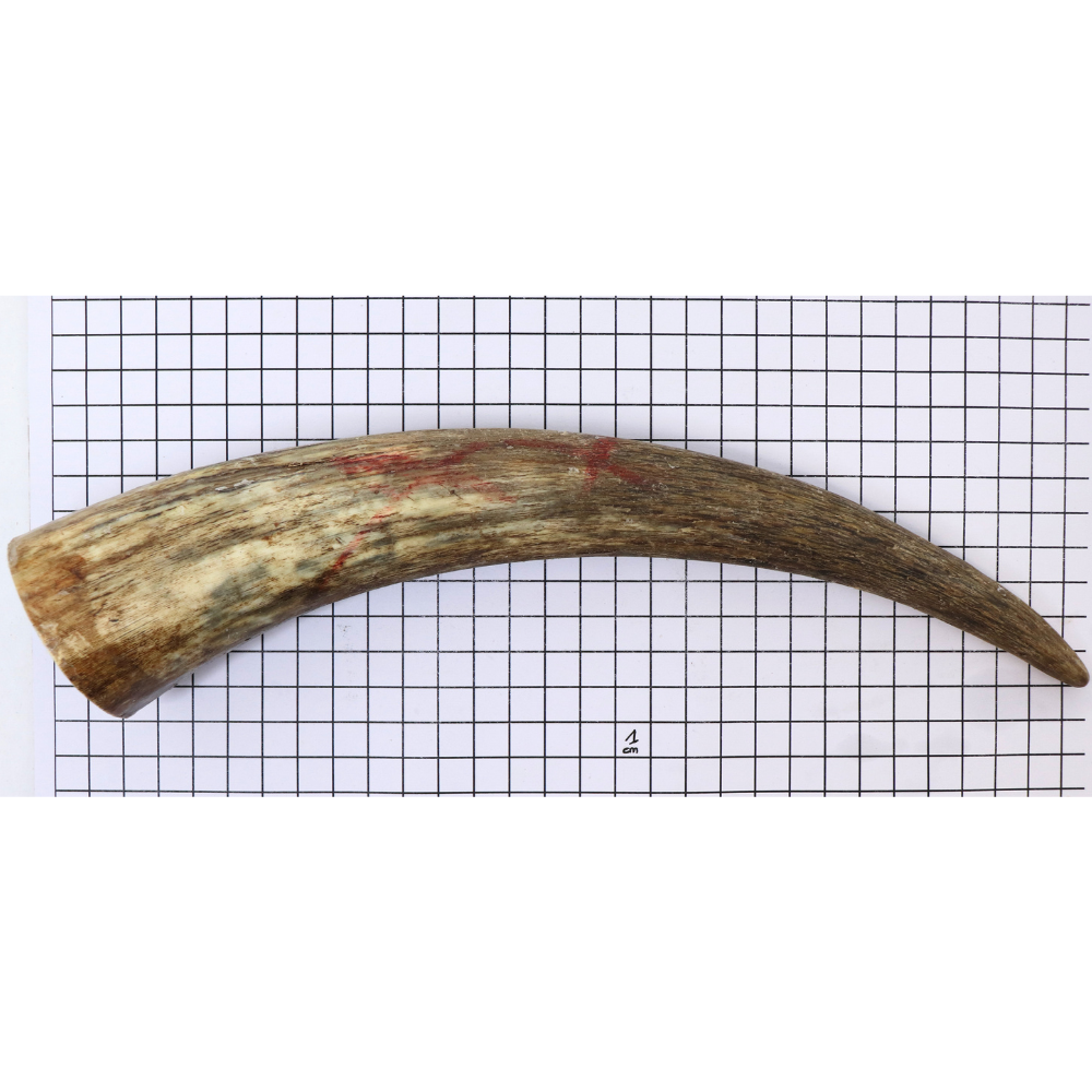 Pointe de corne de Zébu - Muzard SARL